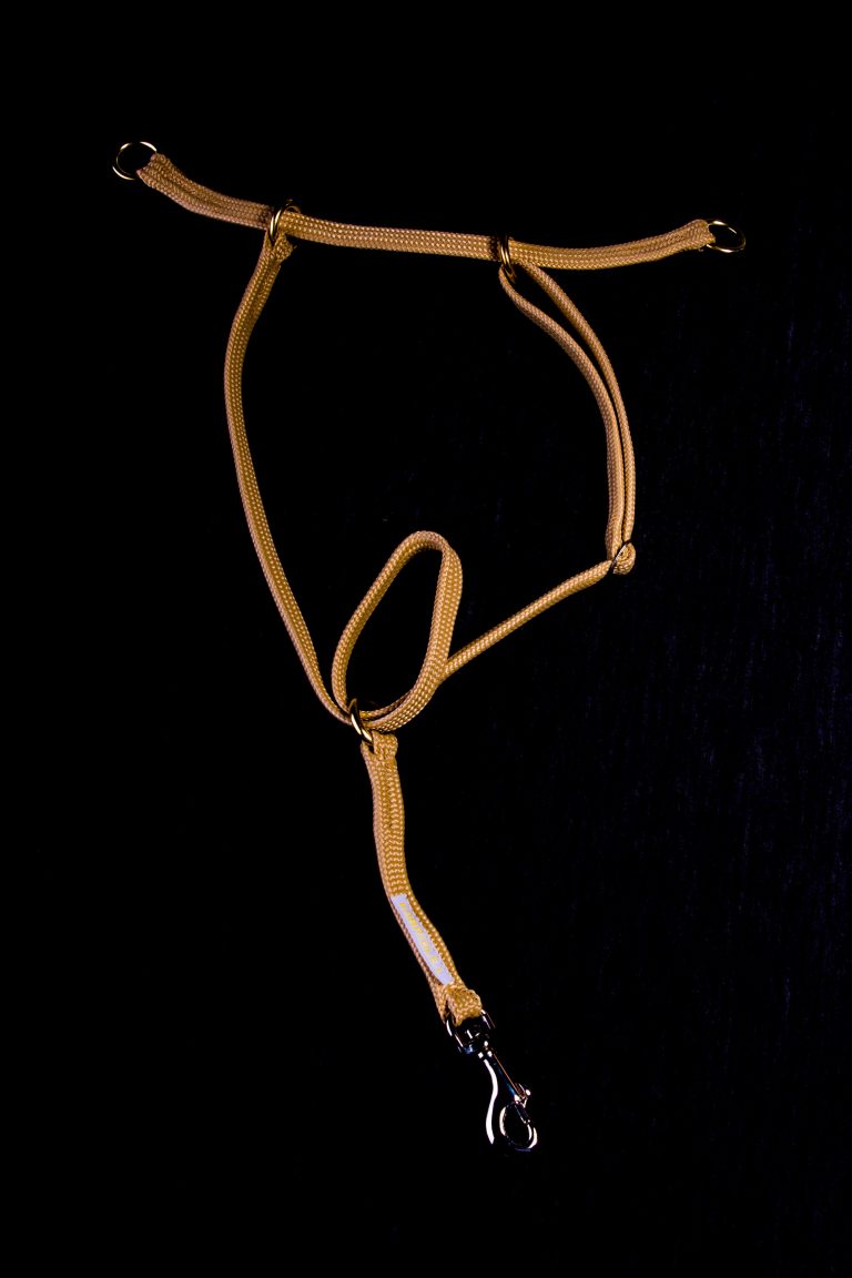 K9 Bridle - K9 Bridle